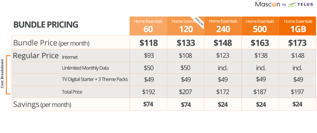 Internet + TV Bundles - Mascon