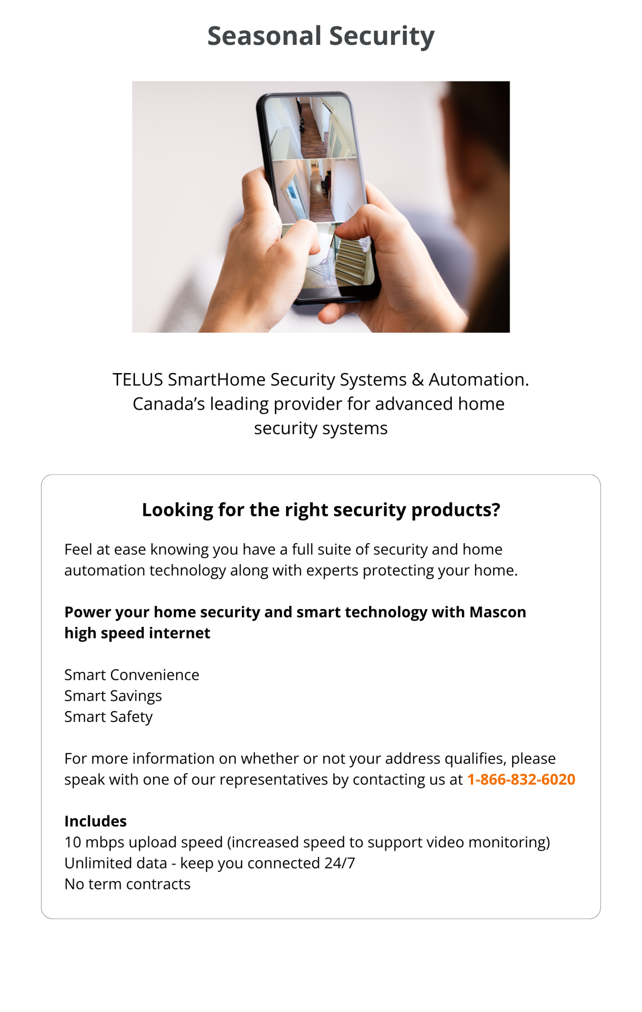 Seasonal Security - Mascon